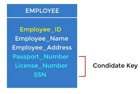 Keys in DBMS - Tpoint Tech